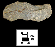 Diagnostic Artifacts in Maryland