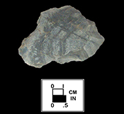 Diagnostic Artifacts in Maryland