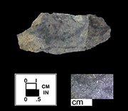 Diagnostic Artifacts in Maryland