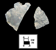 Diagnostic Artifacts in Maryland