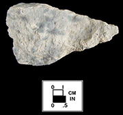 Diagnostic Artifacts in Maryland