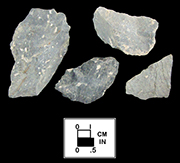 Diagnostic Artifacts in Maryland