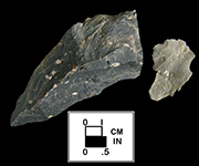 Diagnostic Artifacts in Maryland